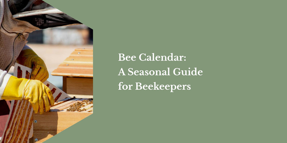 Bee Calendar: A Seasonal Guide for Beekeepers – Hiveology