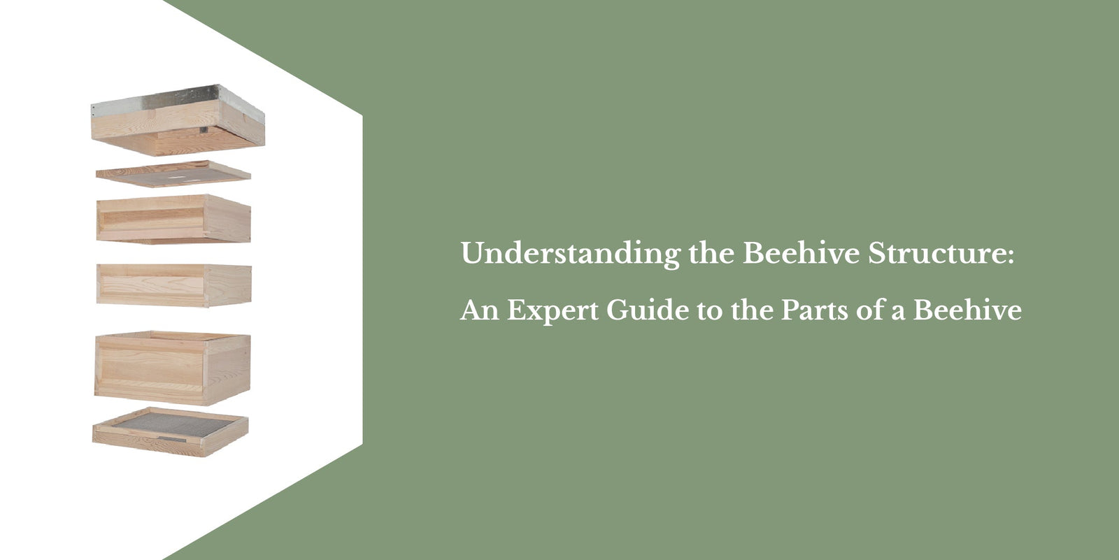 Understanding the Beehive Structure: An Expert Guide to the Parts of a ...