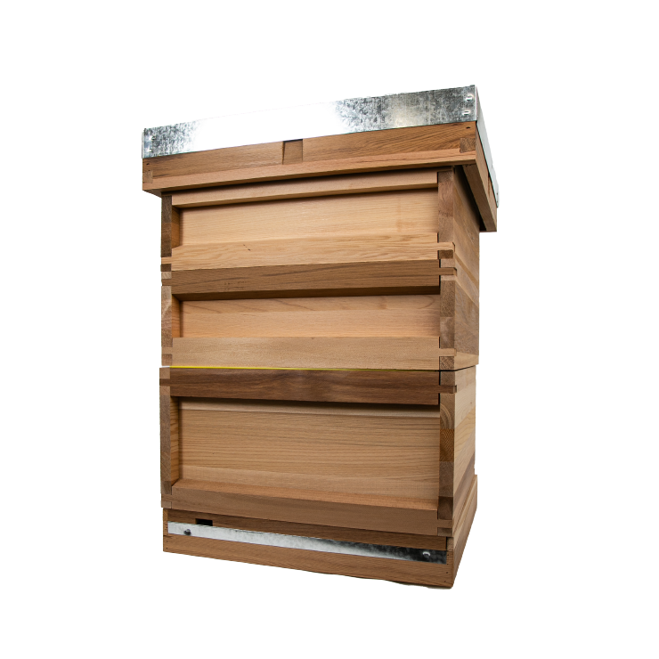 Cedar National Beehive – Hiveology